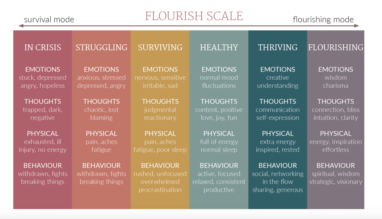 How to Thrive and Flourish | Marianne de Kleer