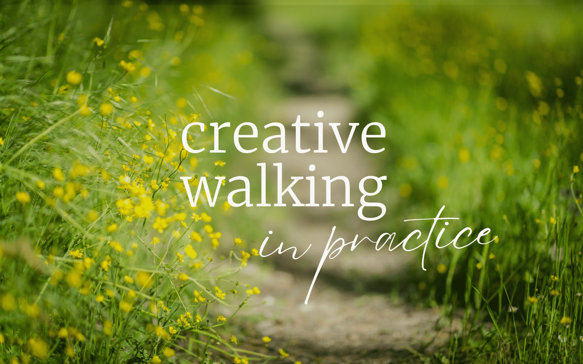 Creative Walking in Practice - Marianne de Kleer